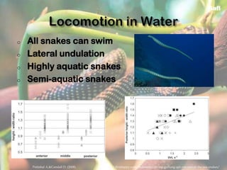 Snake Exercise Presentation | PPTX
