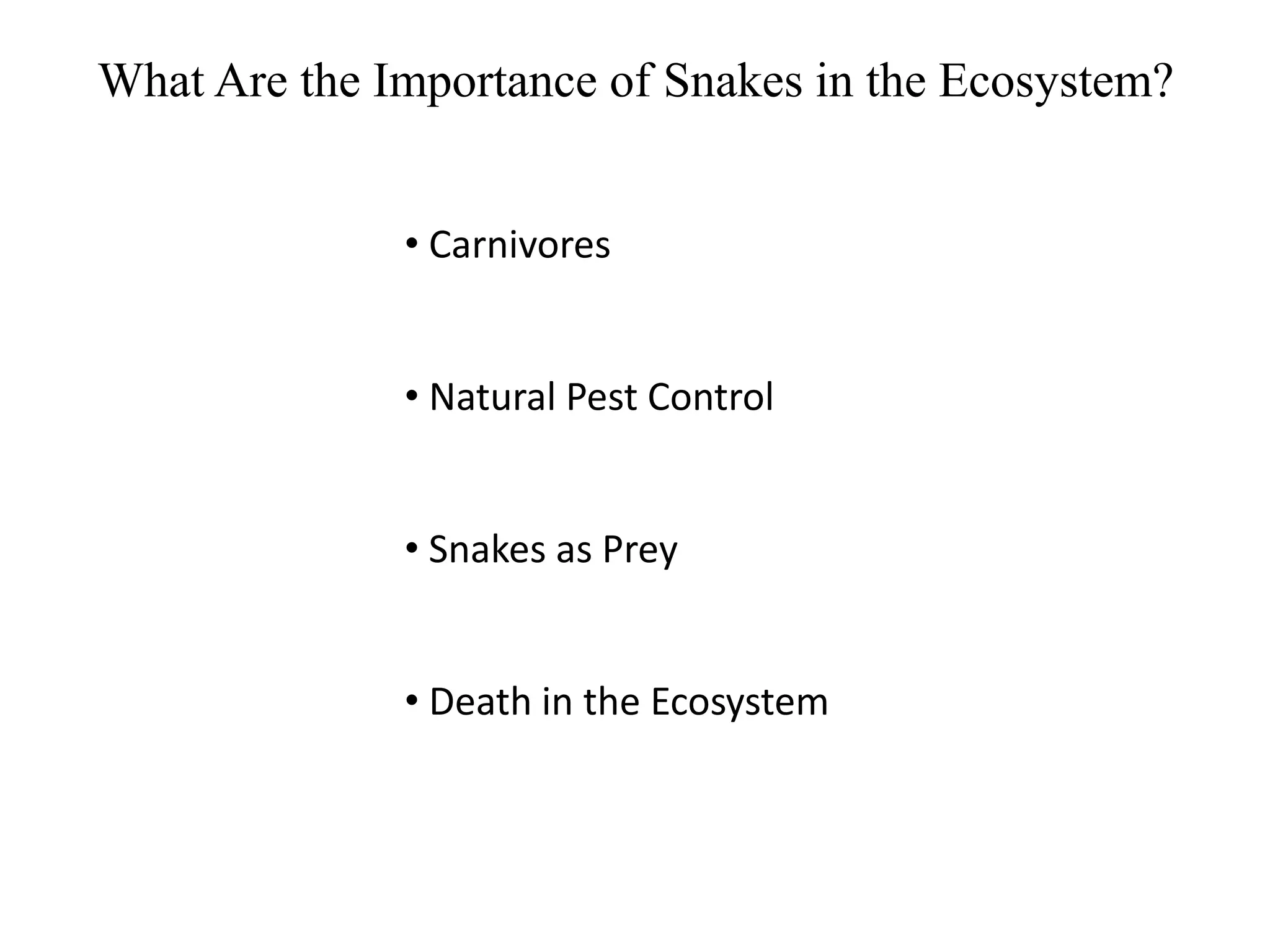 Snake _presentation.pptx