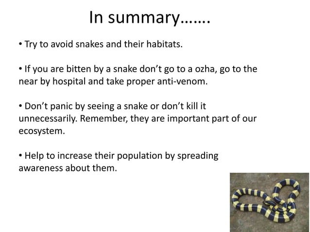Snake _presentation.pptx | Reptiles | Pets