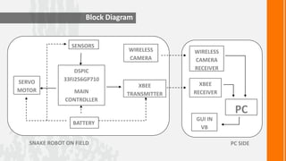 Snake presentation_ppt | PDF