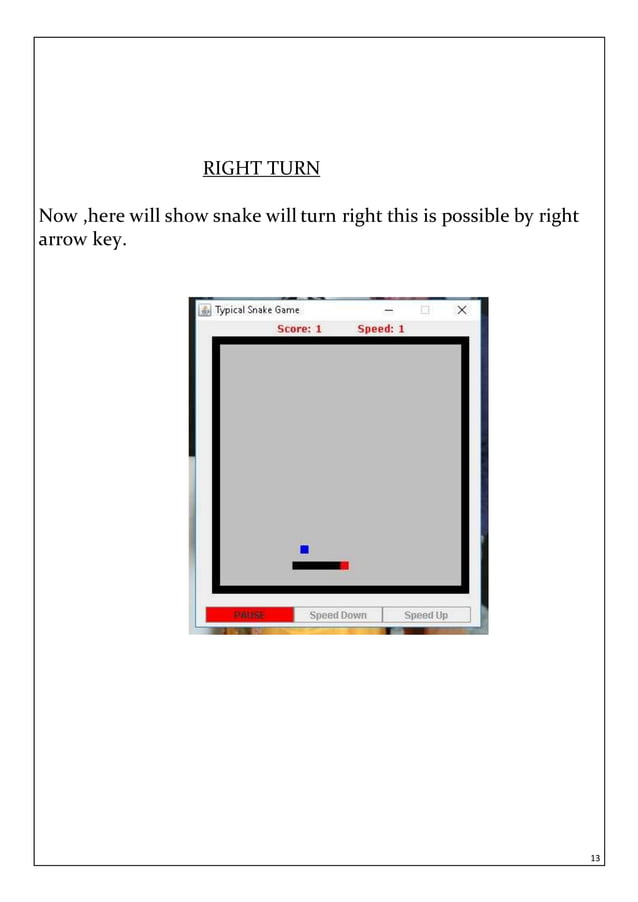 Snake project report | DOC