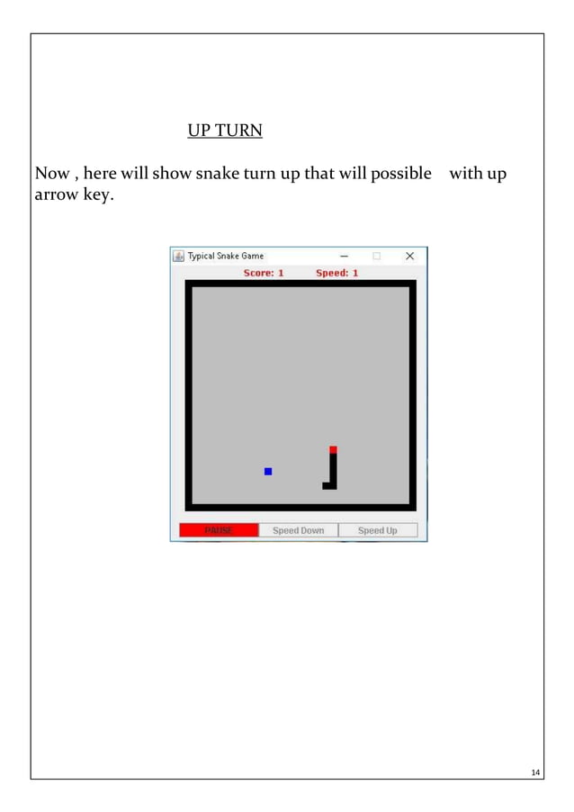 Snake project report | DOC