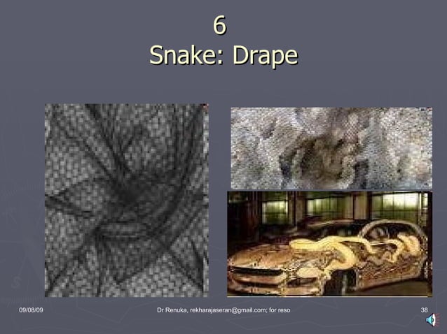 Snakes | PPT