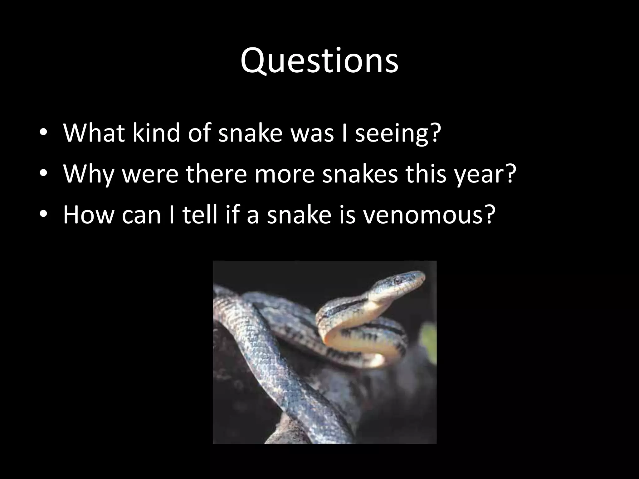 Snakes | PPT