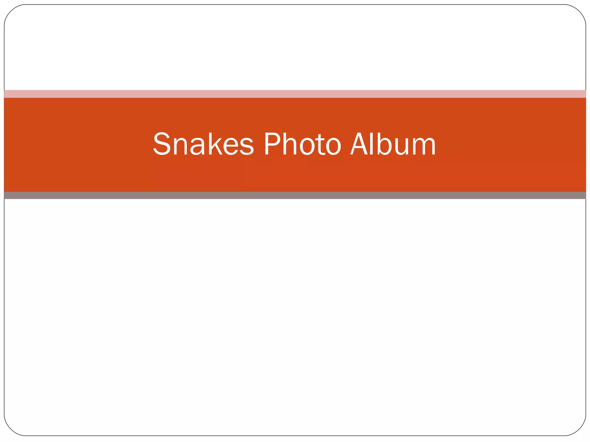 Snakes | PPT