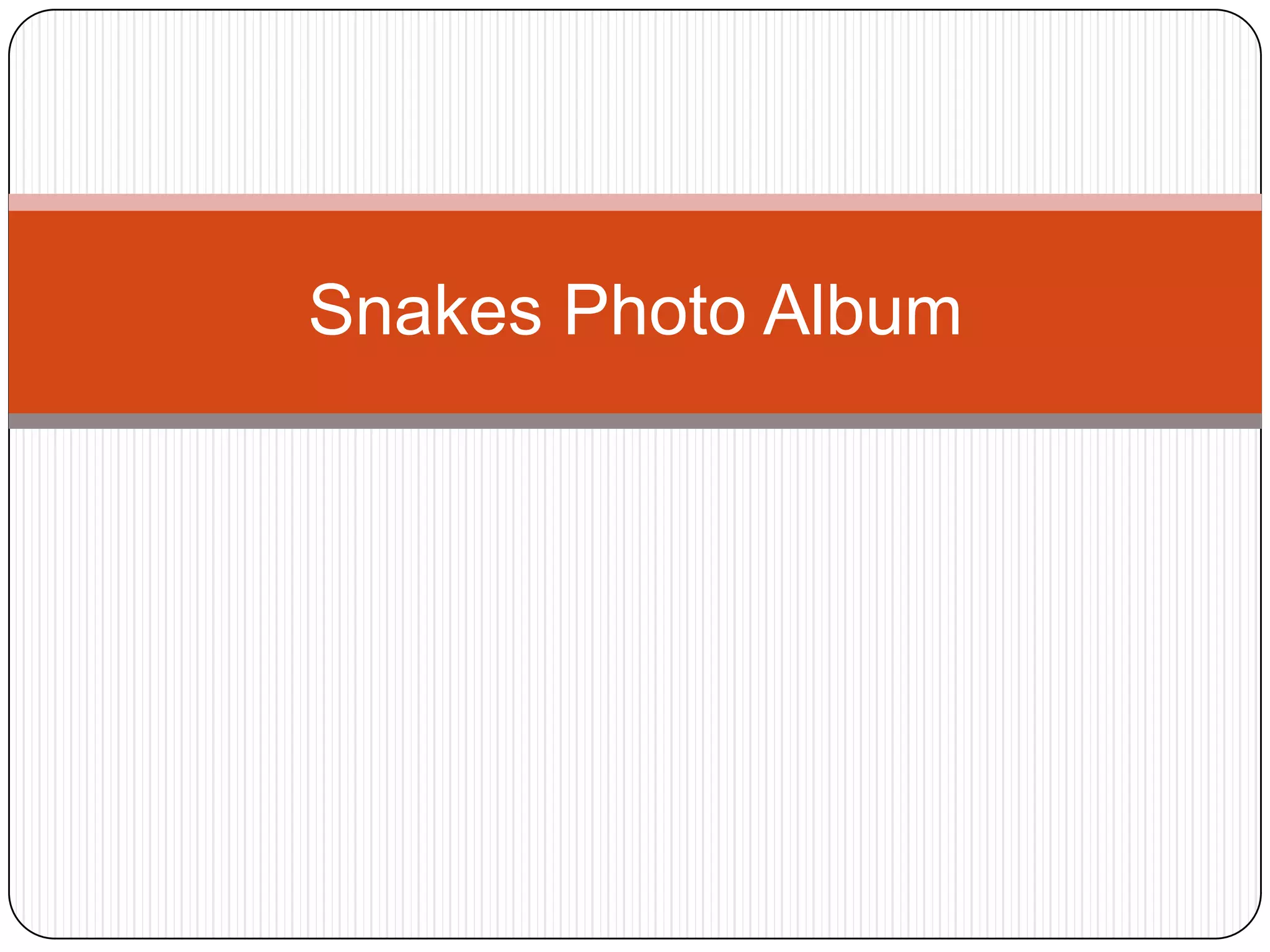 Snakes | PPT