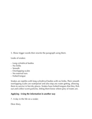 Snakes | PAGES | Reptiles | Pets