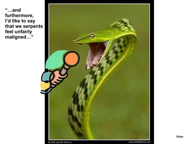 Snakes | PPT