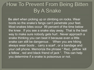 Snakes | PPTX | First Aid | Injuries