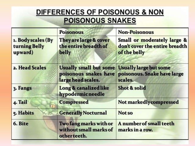 Snakes-poisonous & Non poisonous, venom ,biting mechanism | PPTX ...