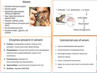 Snakes-poisonous & Non poisonous, venom ,biting mechanism | PPTX