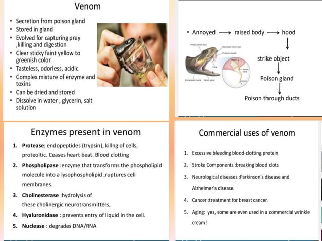 Snakes-poisonous & Non poisonous, venom ,biting mechanism | PPTX ...