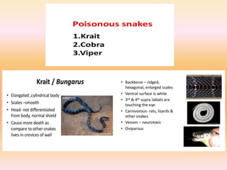 Snakes-poisonous & Non poisonous, venom ,biting mechanism | PPTX