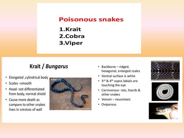 Snakes-poisonous & Non poisonous, venom ,biting mechanism | PPTX ...