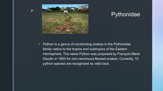 Snakes | PPTX