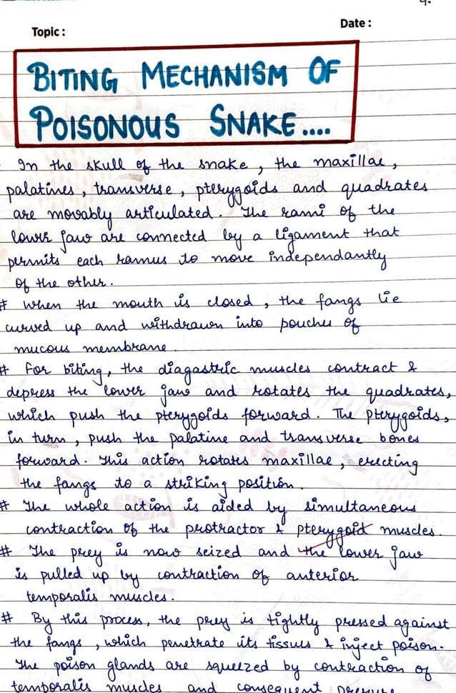 snakes.pdf
