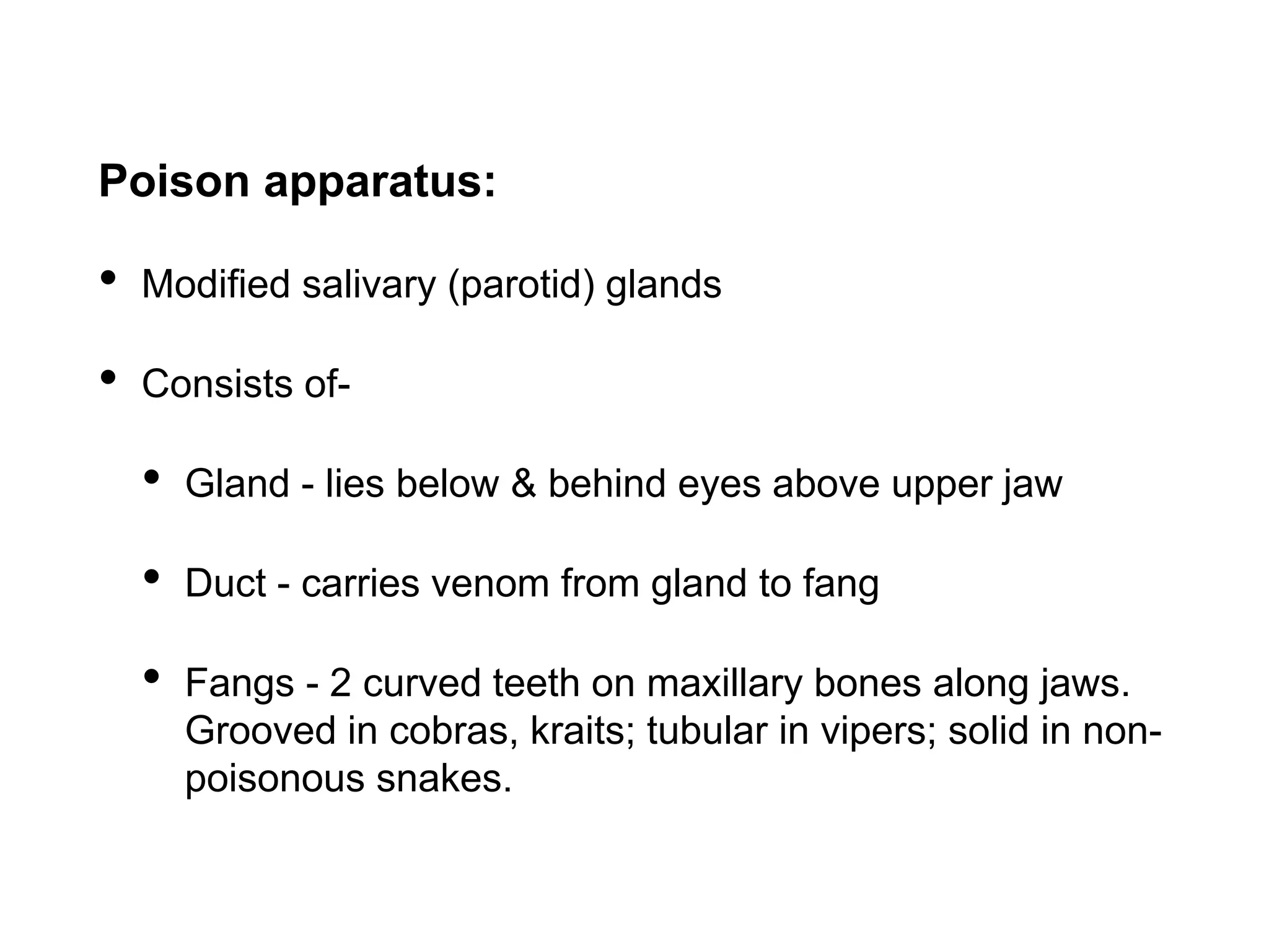 Snakes Toxicology | PPTX
