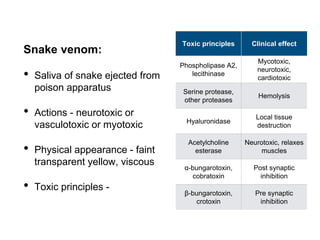 Snakes Toxicology | PPTX