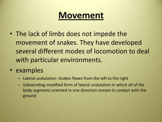 Snakes 101 | PPTX