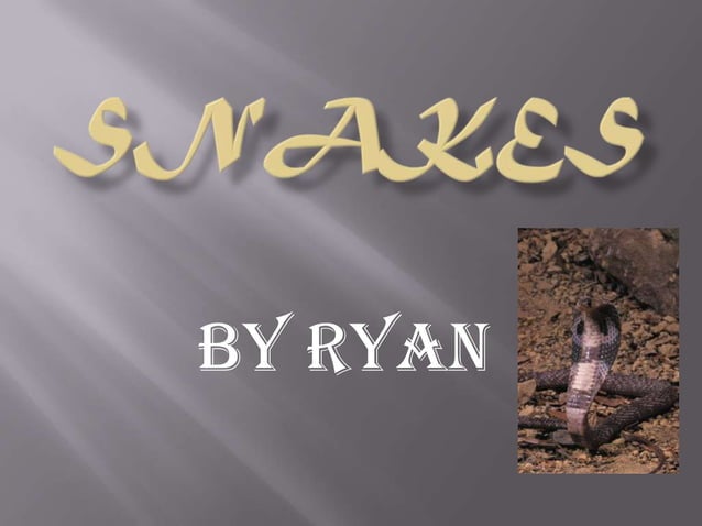 Snakes by Ryan | PPTX | Reptiles | Pets