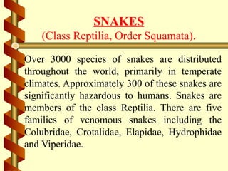 Snake & scorpion envenomation | PPT