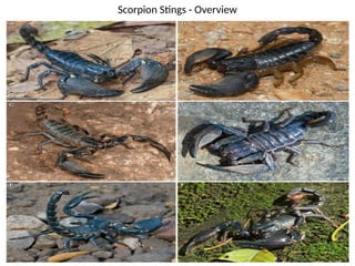 Snake_Scorpion_Insect_Bite_Safety_Awareness.pptx