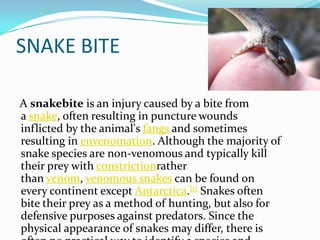 Snakes in india | PPTX