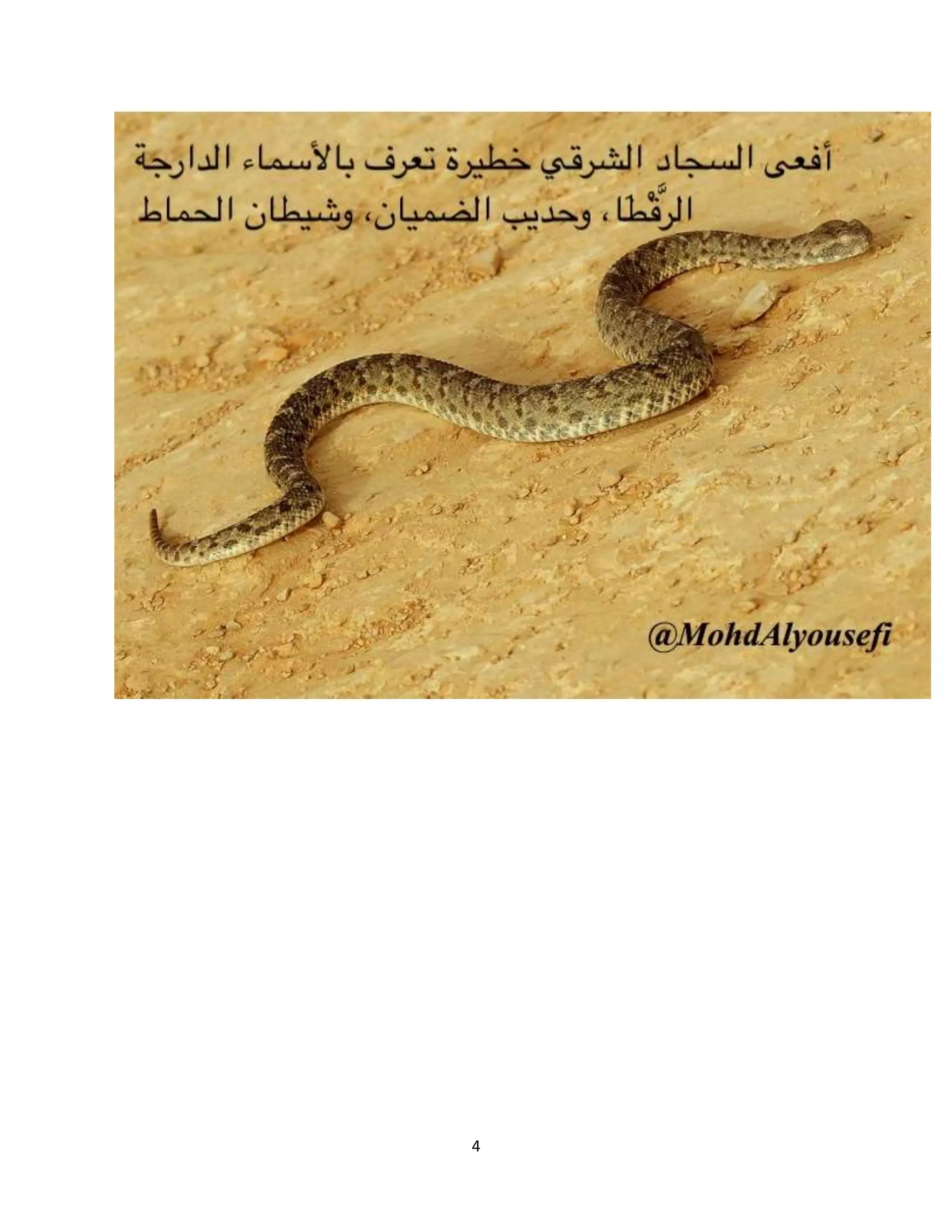 Snakes in KSA.docx