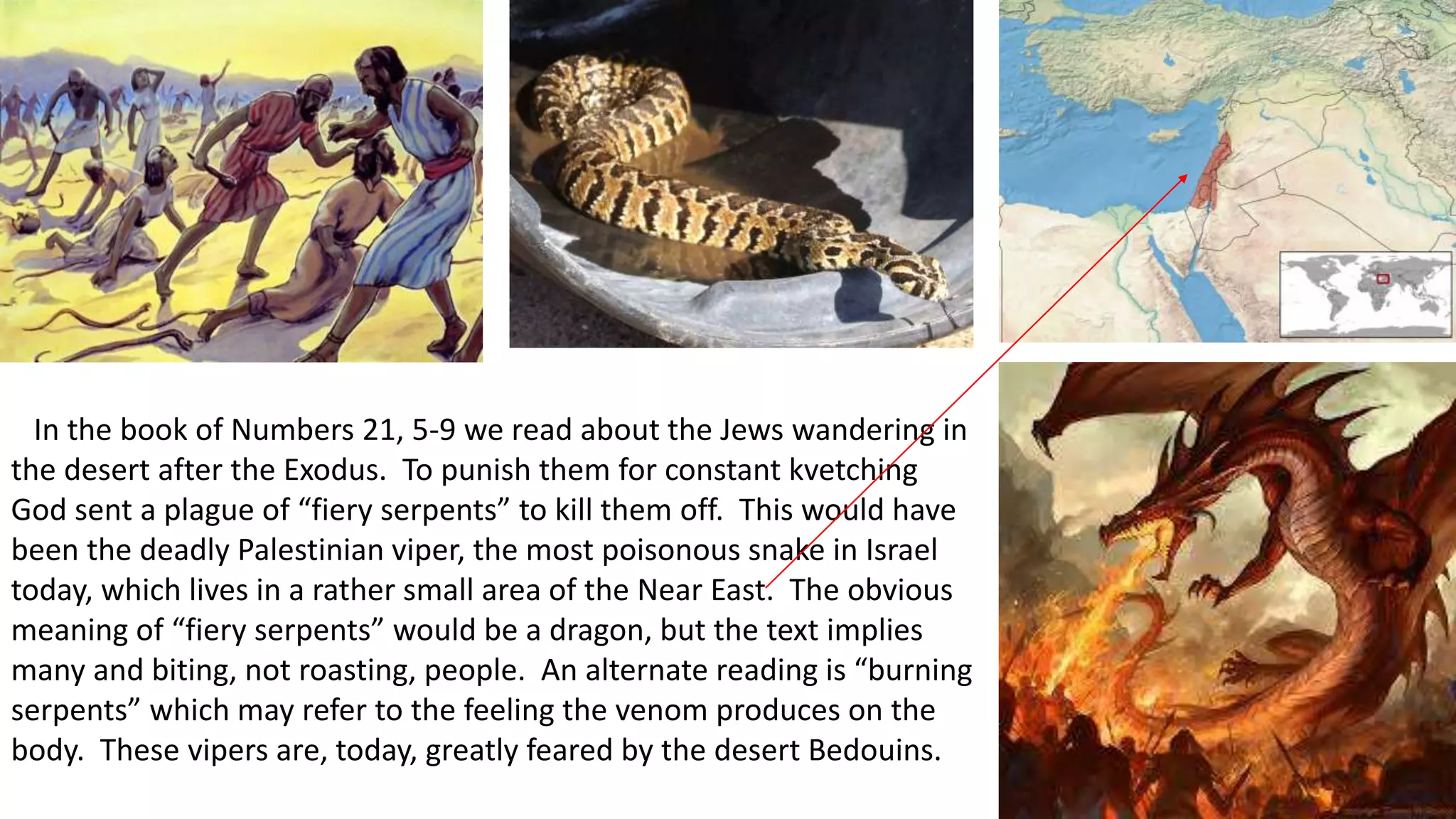 Snakes in the bible, adult ed | PPTX