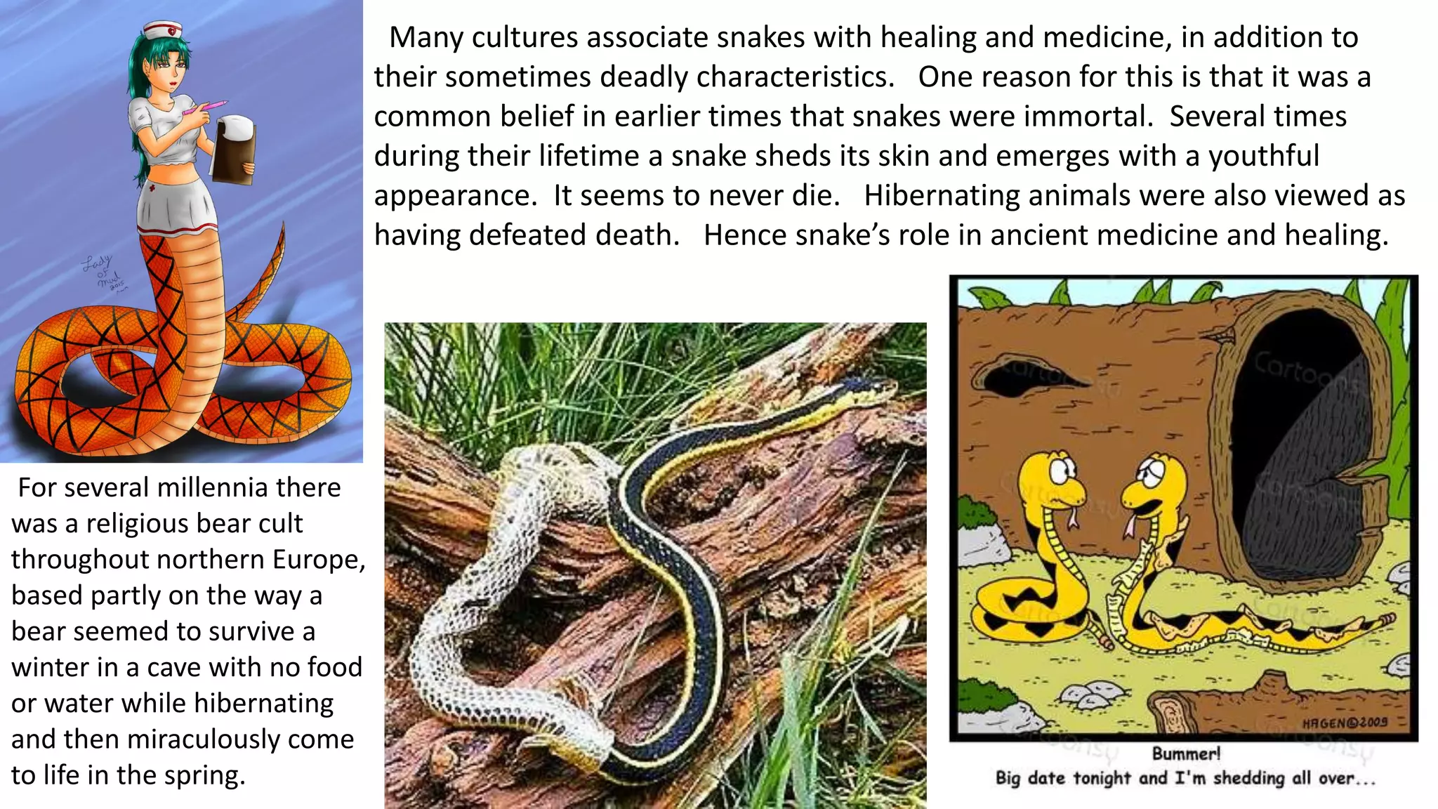 Snakes in the bible, adult ed | PPT