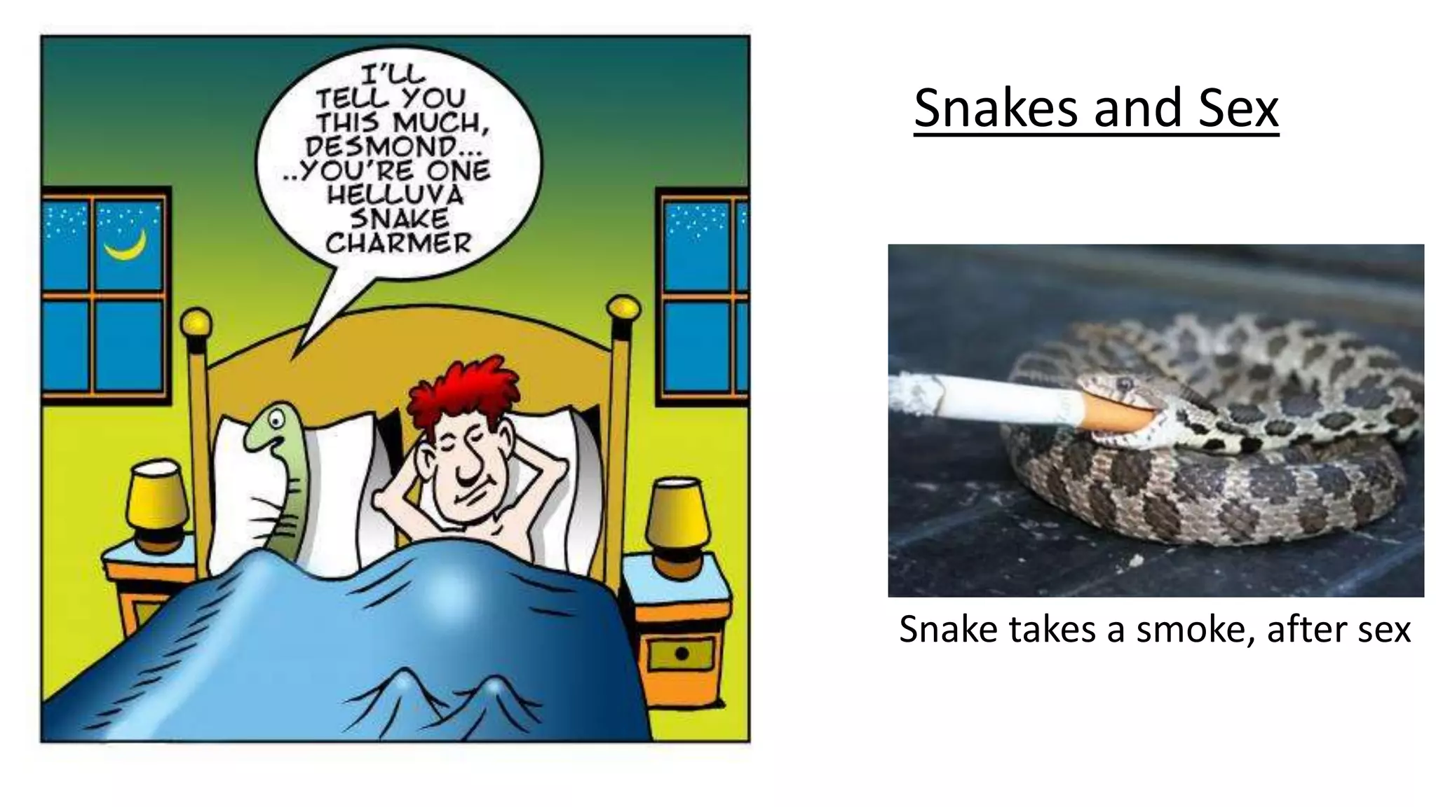 Snakes in the bible, adult ed | PPT