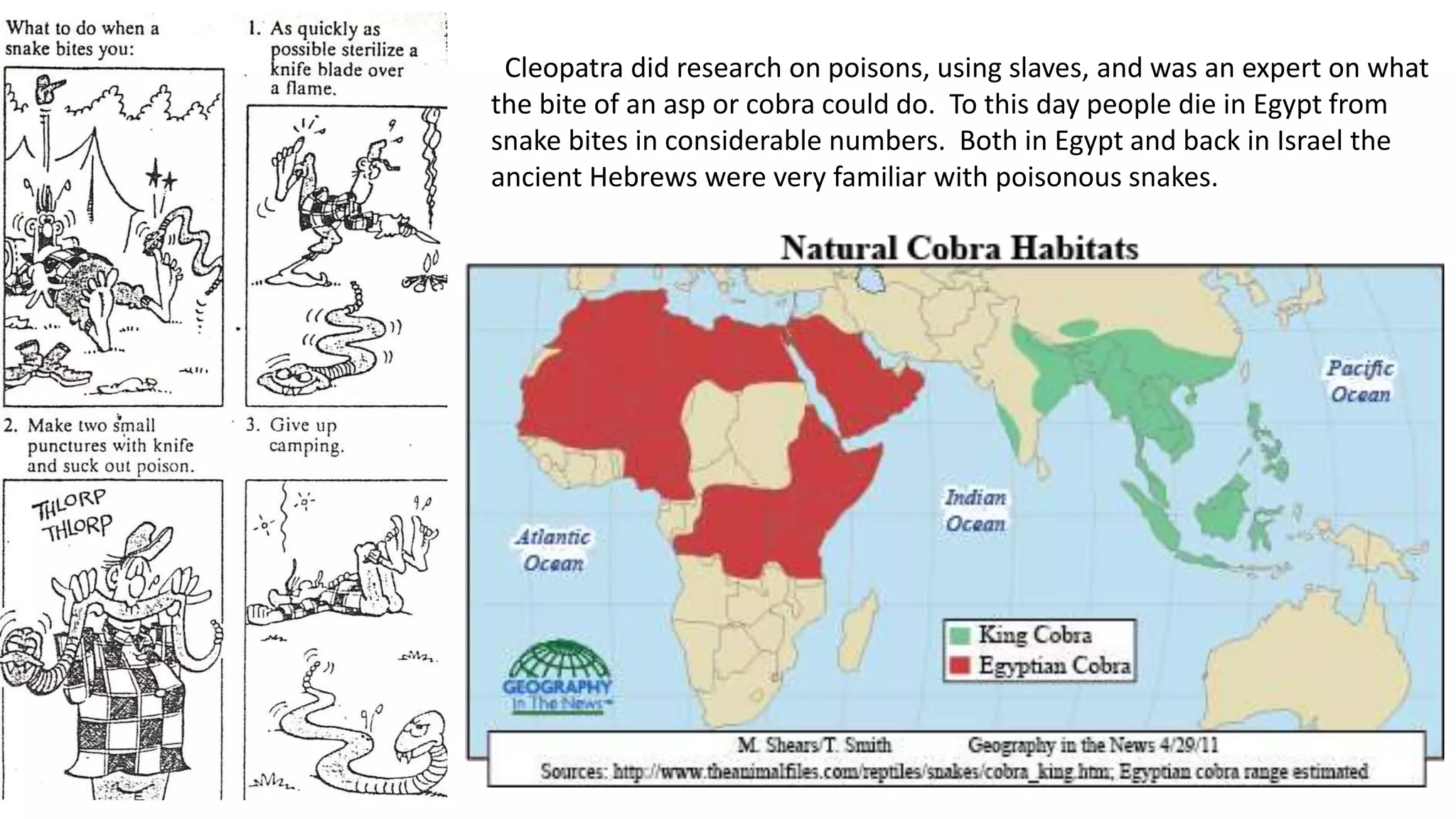 Snakes in the bible, adult ed | PPT