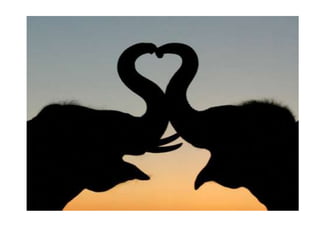 Snakes in the classroom | PPT