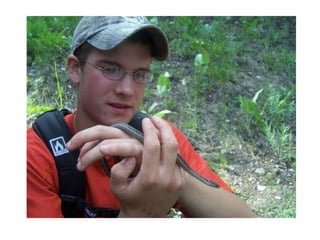 Snakes in the classroom | PPT