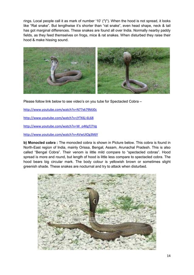 Snakes Myths & Facts in English by Santosh Takale | PDF