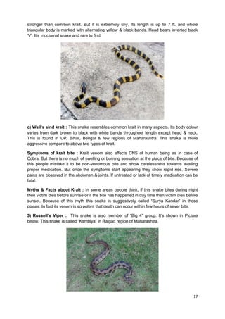 Snakes Myths & Facts in English by Santosh Takale (Revised) | PDF