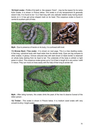 Snakes Myths & Facts in English by Santosh Takale (Revised) | PDF