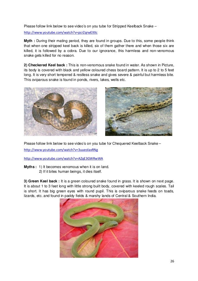 Snakes Myths & Facts in English by Santosh Takale (Revised)
