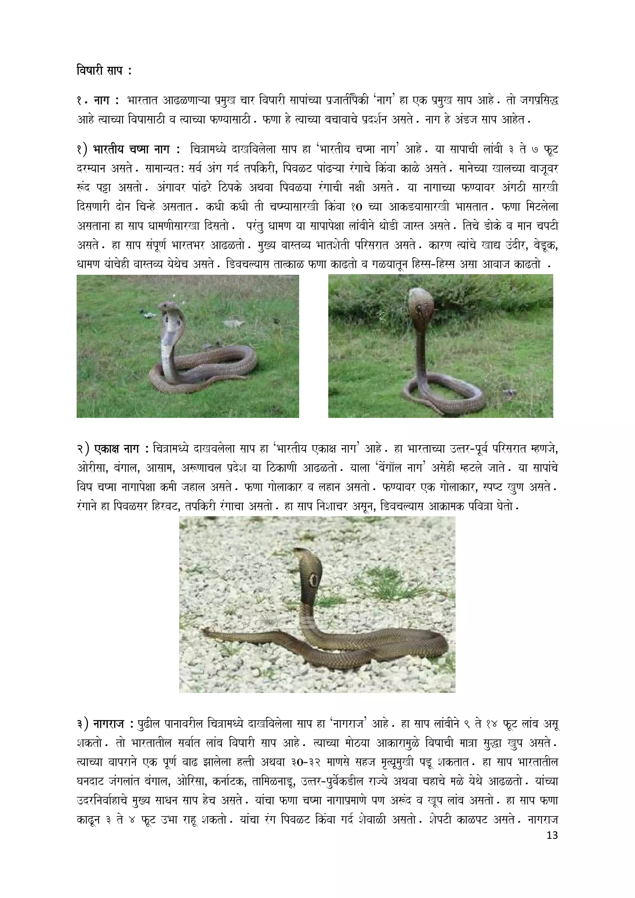 Snakes Myths & Facts in Marathi by Santosh Takale | PDF