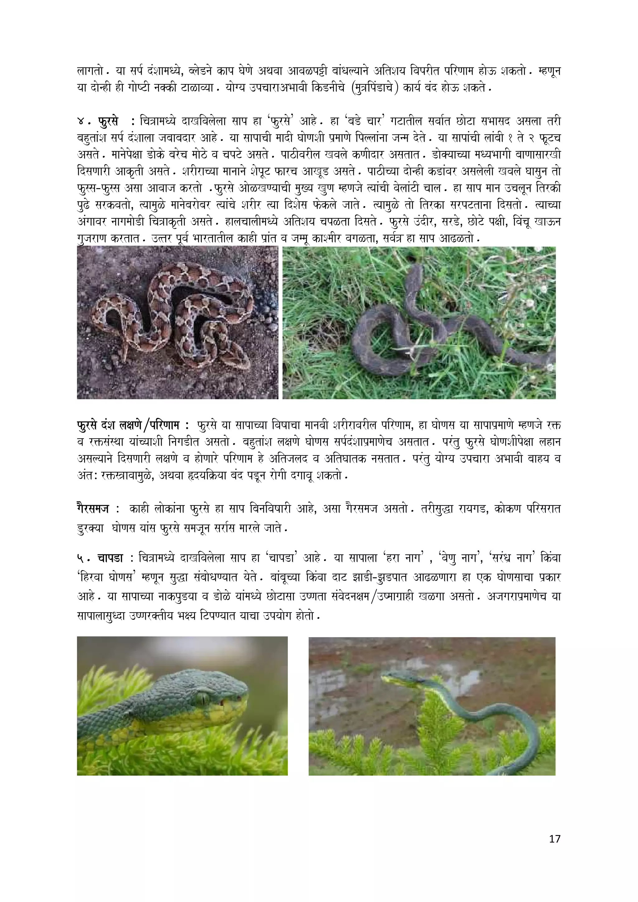 Snakes Myths & Facts in Marathi by Santosh Takale | PDF