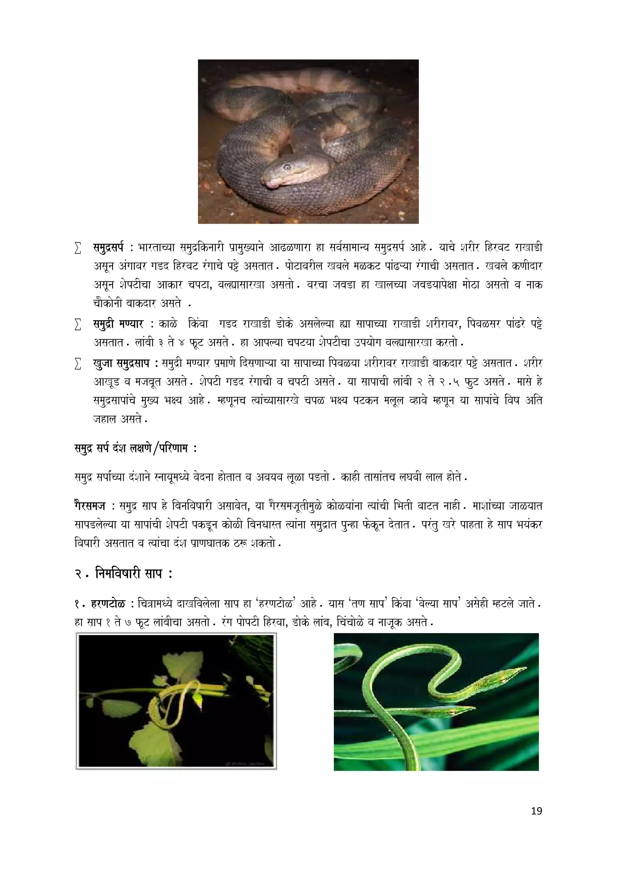 Snakes Myths & Facts in Marathi by Santosh Takale | PDF