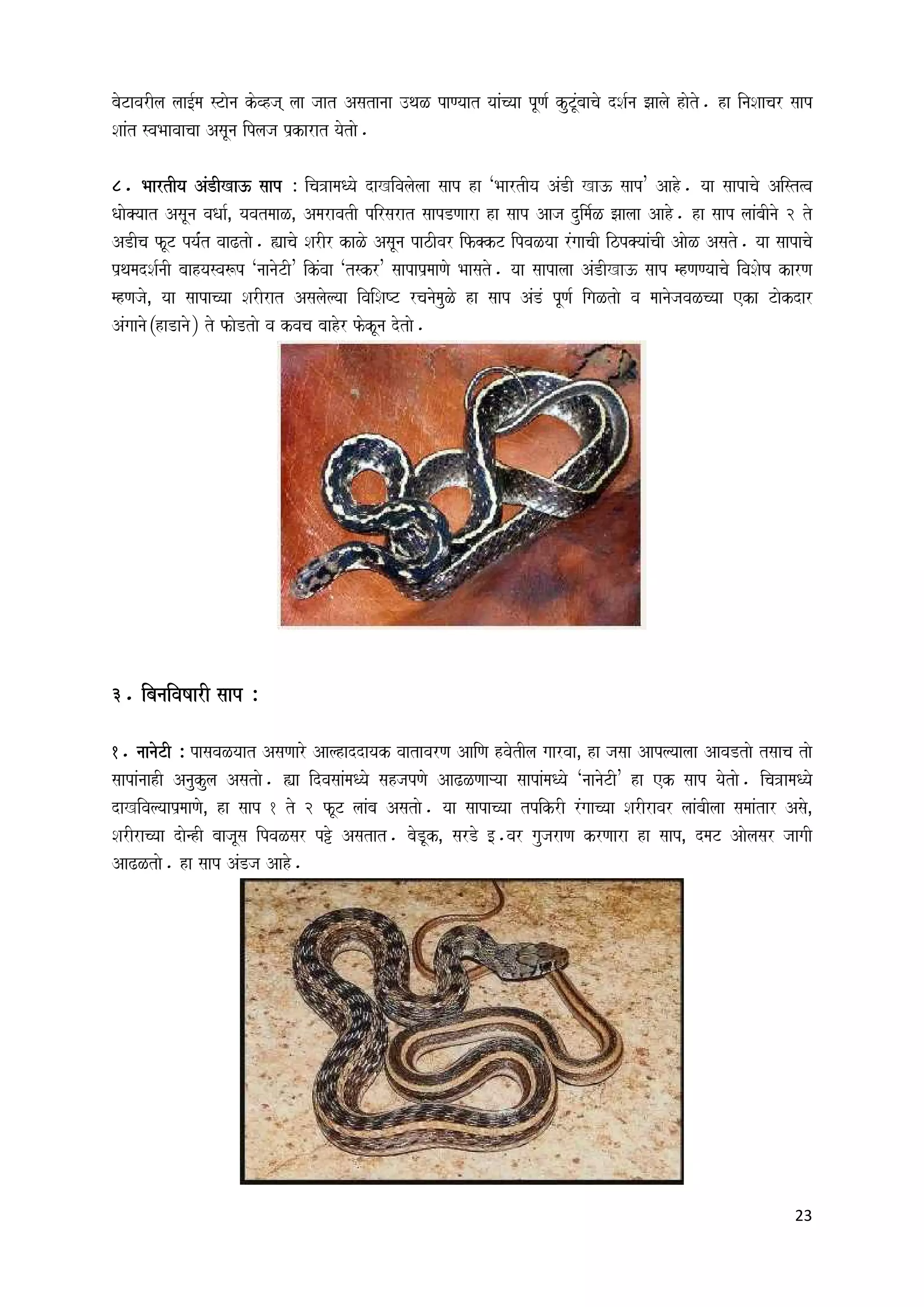Snakes Myths & Facts in Marathi by Santosh Takale | PDF