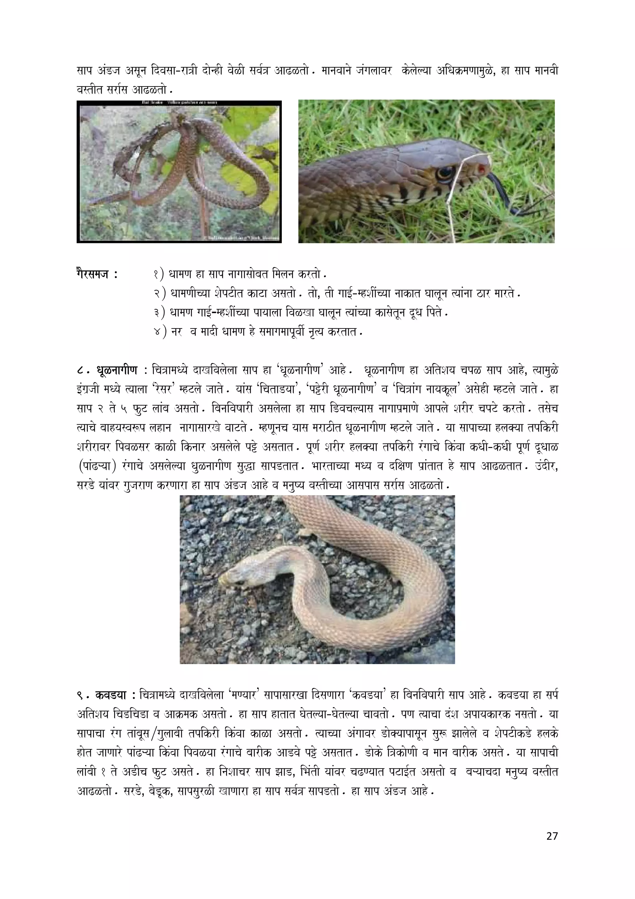 Snakes Myths & Facts in Marathi by Santosh Takale | PDF