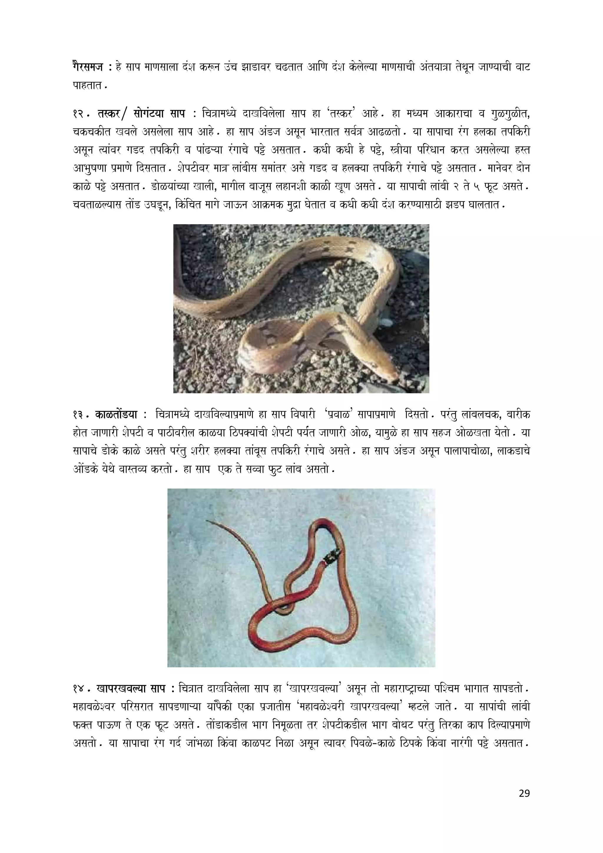 Snakes Myths & Facts in Marathi by Santosh Takale | PDF