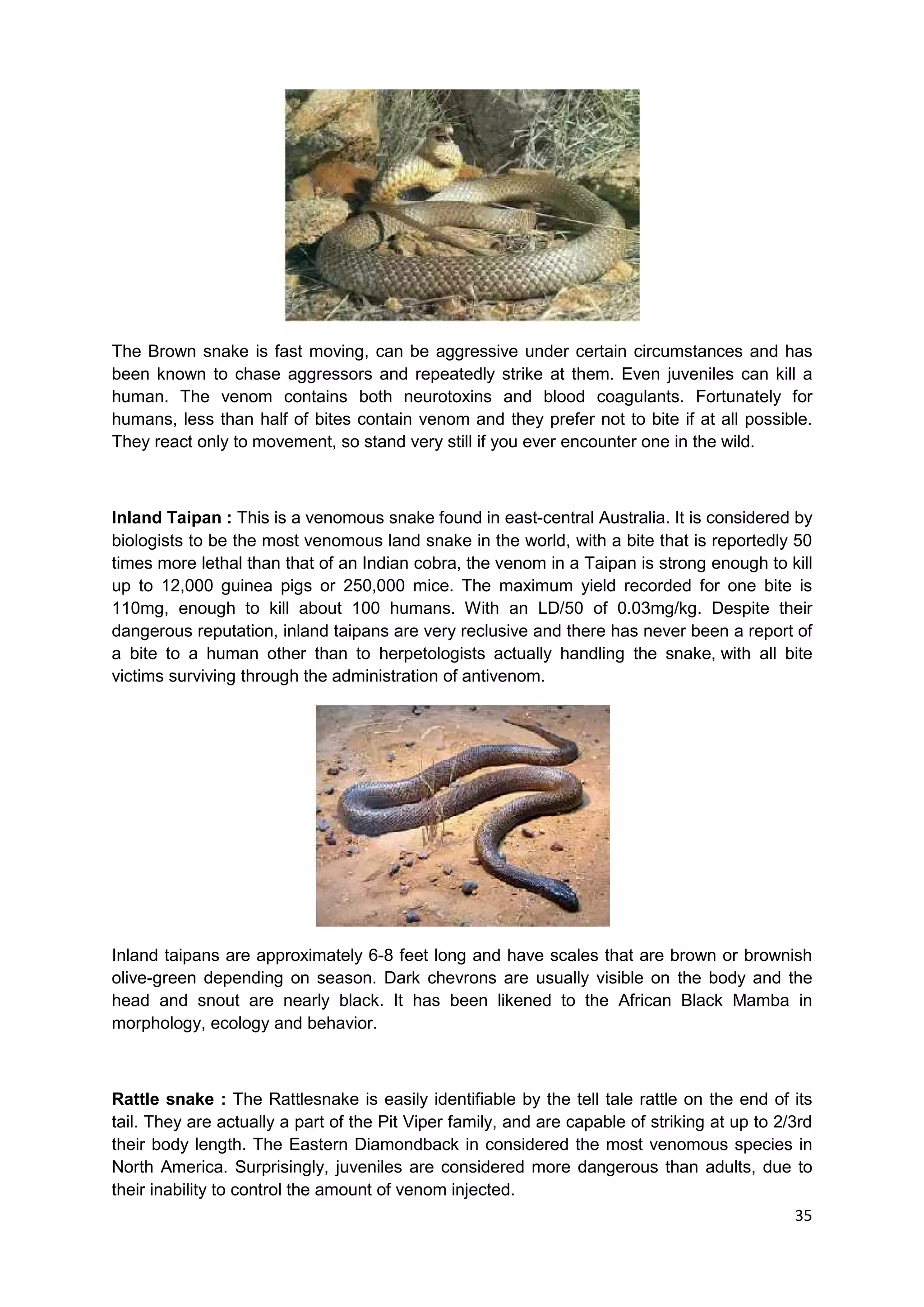 Snakes Myths & Facts in Marathi by Santosh Takale | PDF