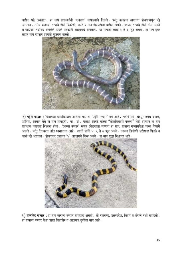 Snakes Myths & Facts in Marathi by Santosh Takale | PDF