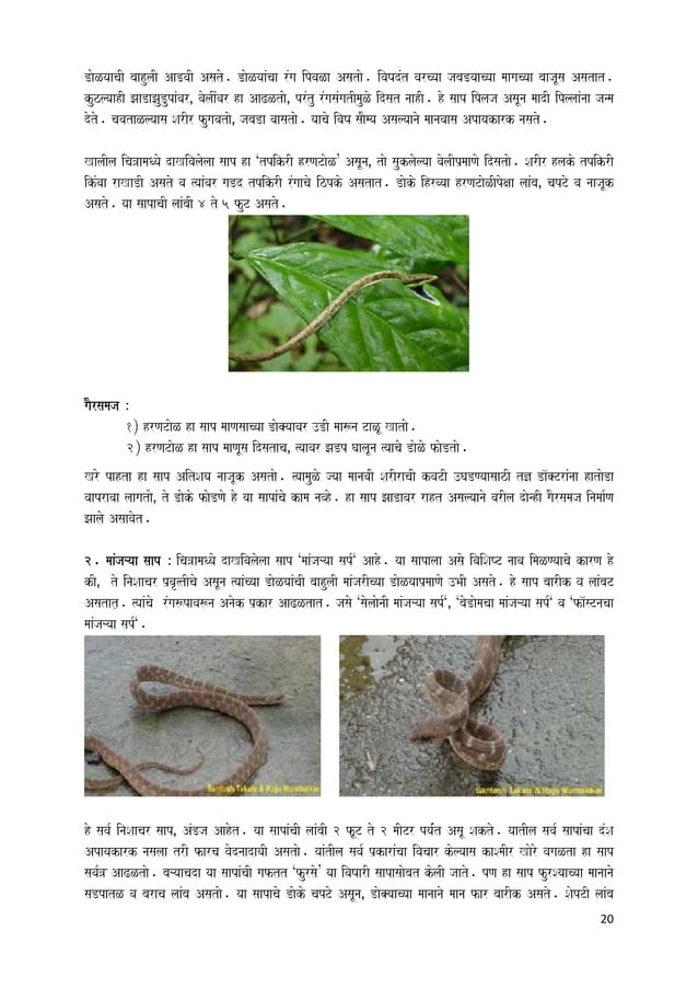 Snakes Myths & Facts in Marathi by Santosh Takale | PDF