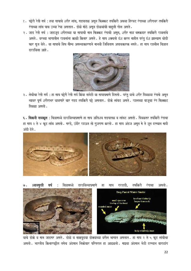 Snakes Myths & Facts in Marathi by Santosh Takale | PDF