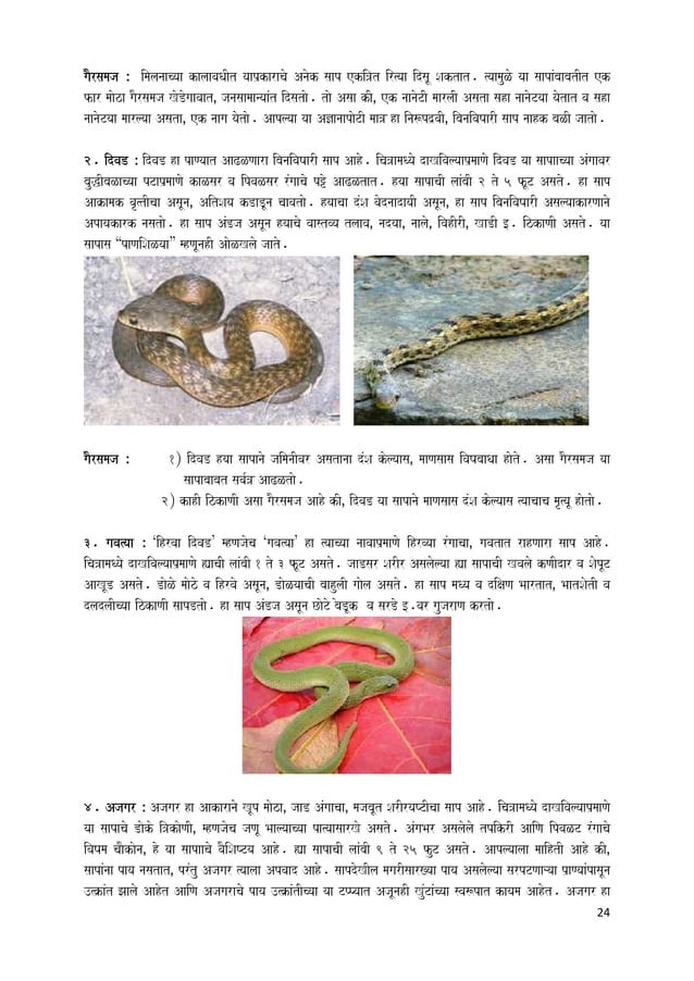 Snakes Myths & Facts in Marathi by Santosh Takale | PDF