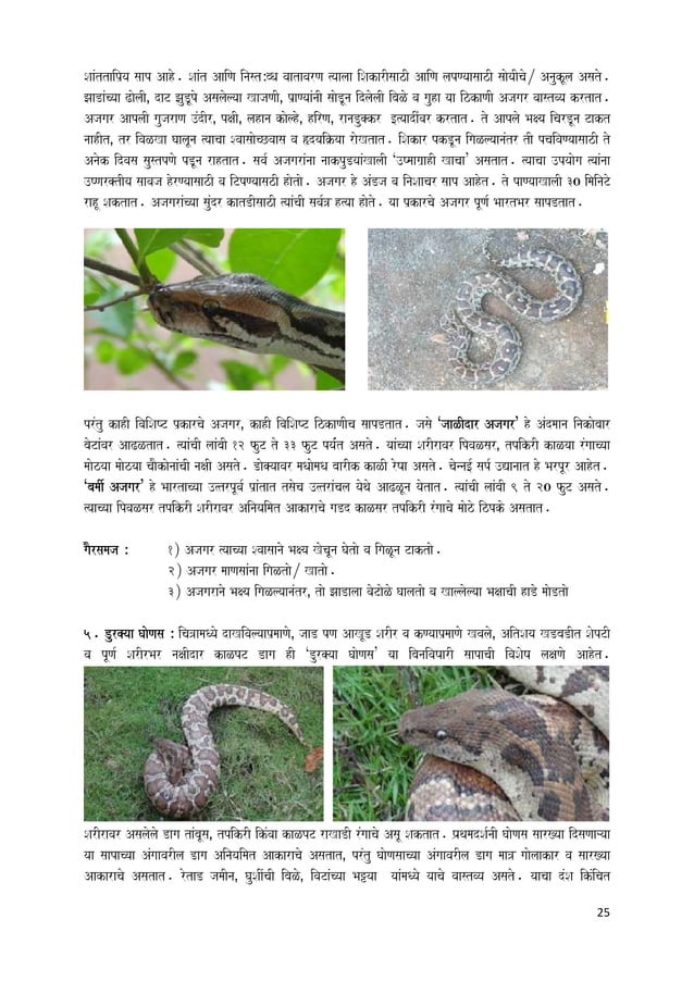 Snakes Myths & Facts in Marathi by Santosh Takale | PDF